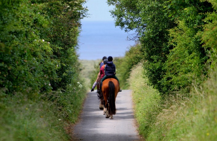 The Drowes Salmon Fishery – Salmon Fishing Ireland